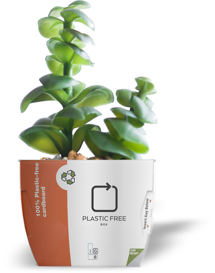 Plastic Free Packaging - Sustainable Pharmaceutical Packaging - IGB